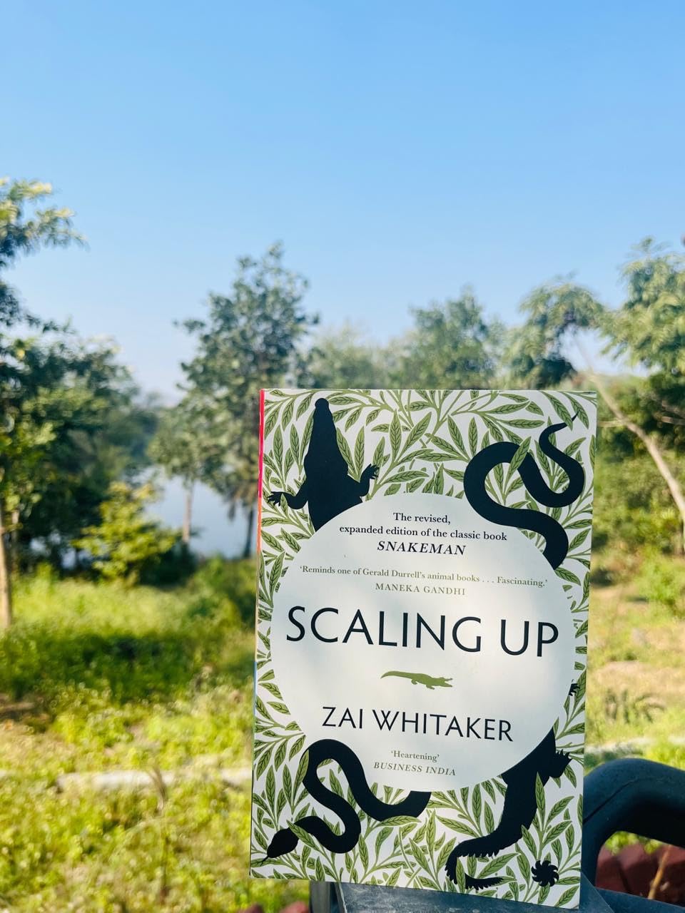 Scaling Up : Zai Whitaker: Amazon.in: Books