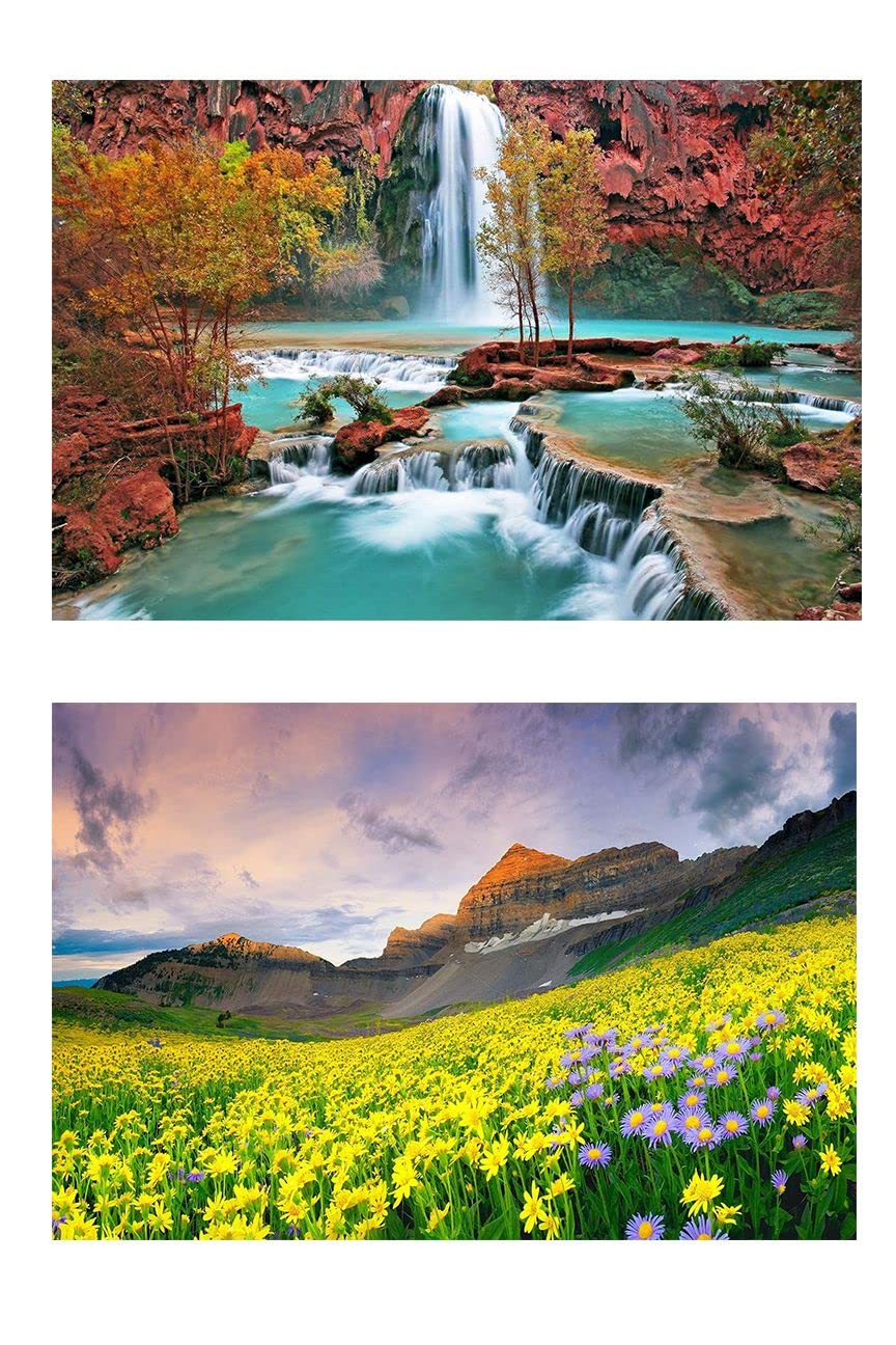 High Resolution Nature Photos Nature Stock Photos Bundle 390+