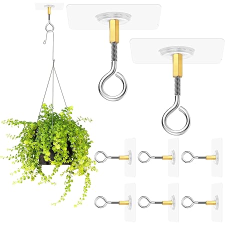 Amazon.com: 3M Polyethylene 3CT Command Ceiling Hooks, 1, Plain ...