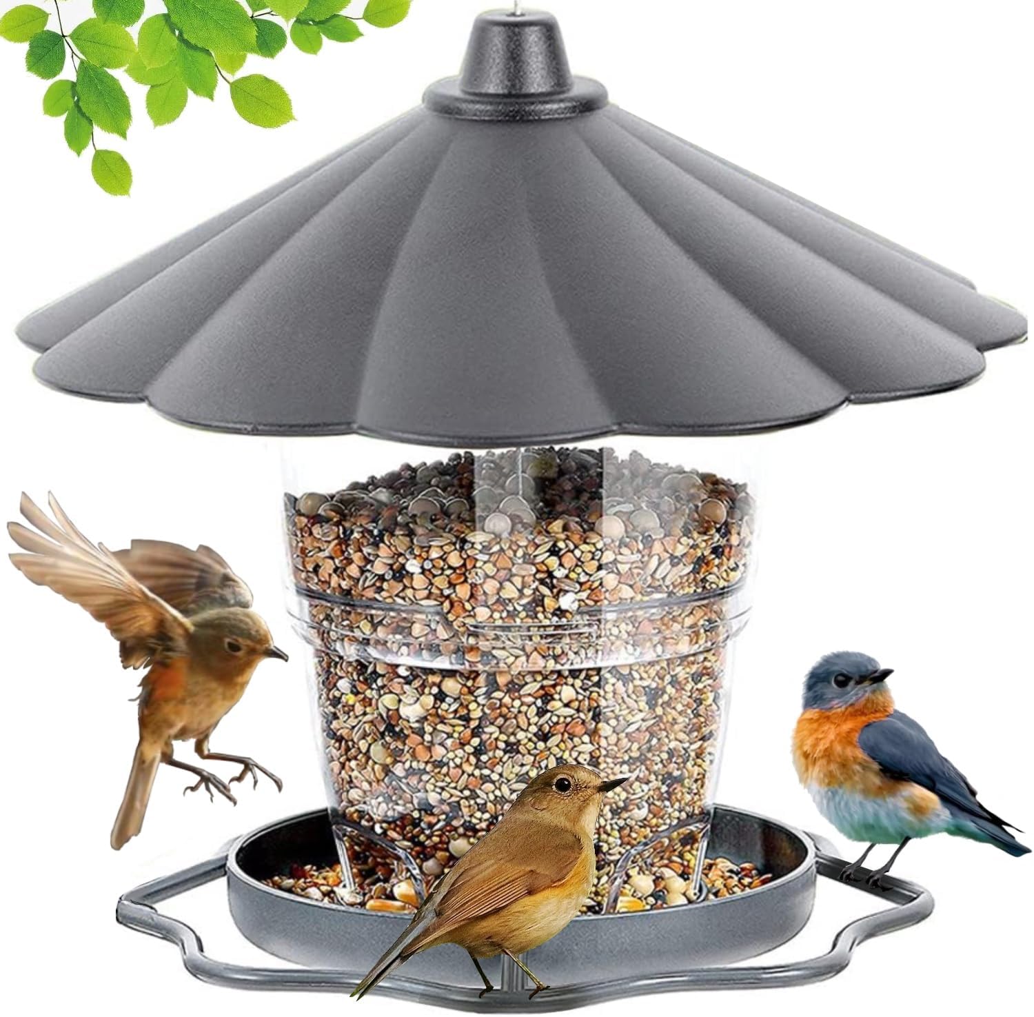 Amazon.com : WLLKOO Bird Feeder, Bird Feeders for Outside Outdoors ...