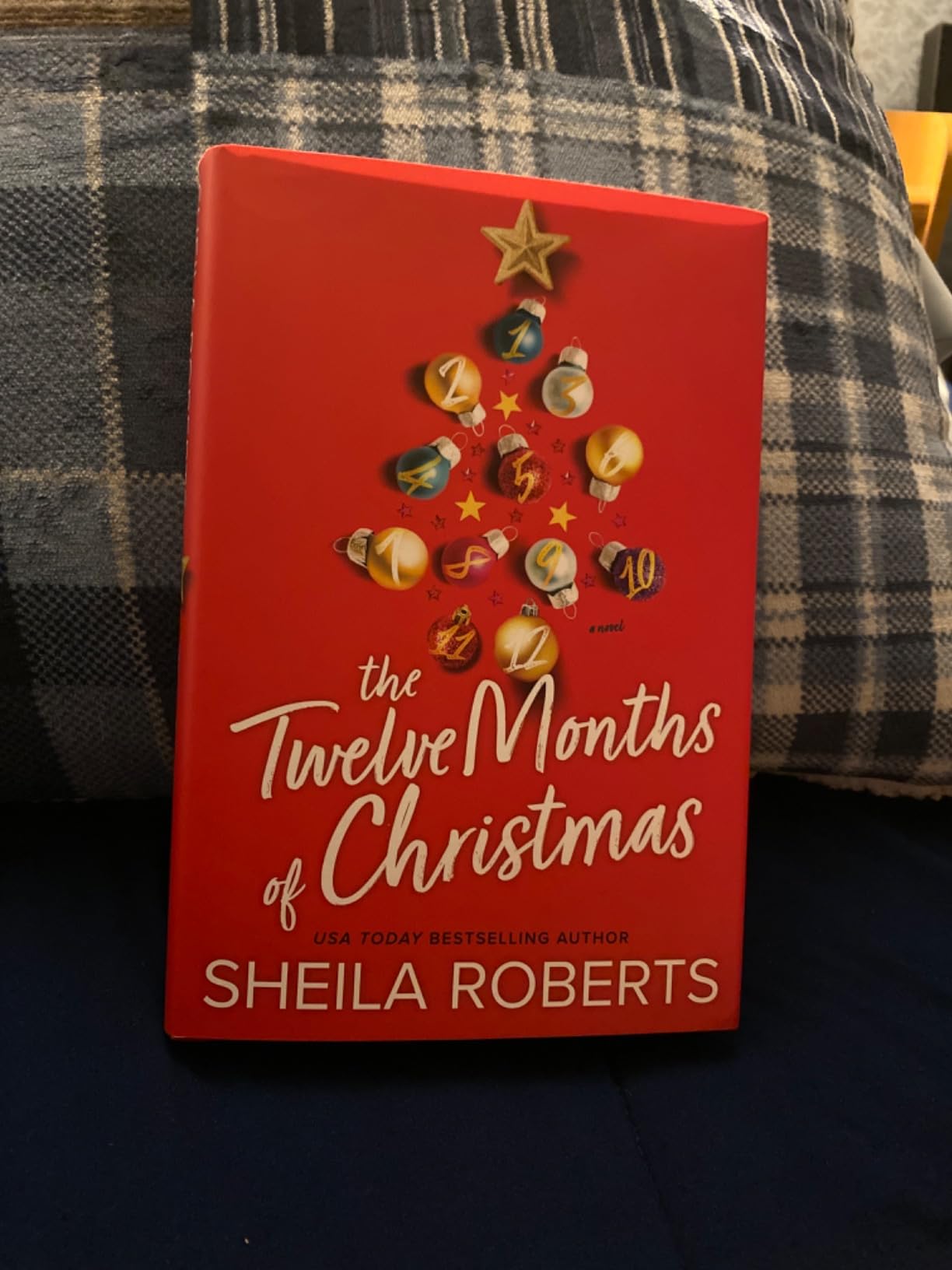 The Twelve Months of Christmas: A Cozy Christmas Romance Novel: Roberts ...