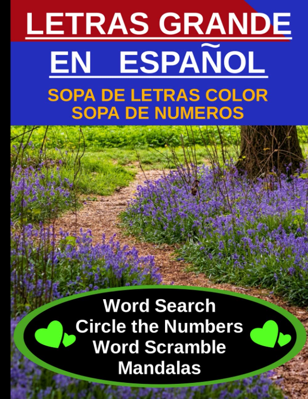 Buy LETRAS GRANDE EN ESPANOL SOPA DE LETRAS, NUMEROS, MANDALAS: Large ...