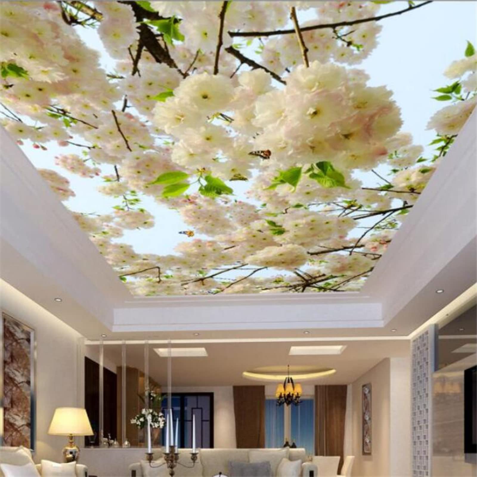 Modern Ceiling Paintings