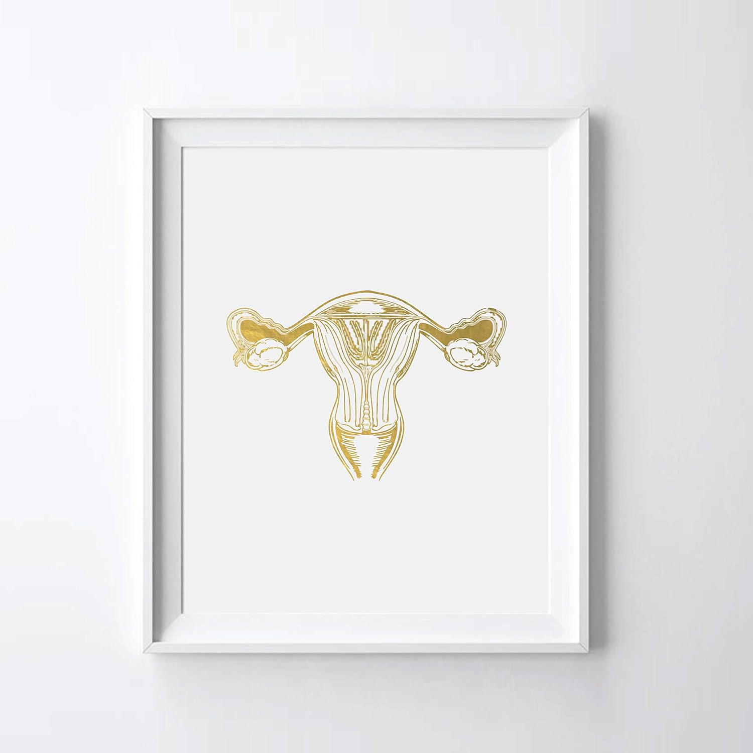Amazon.com: Female Reproductive System Gold Foil Art Print Uterus ...