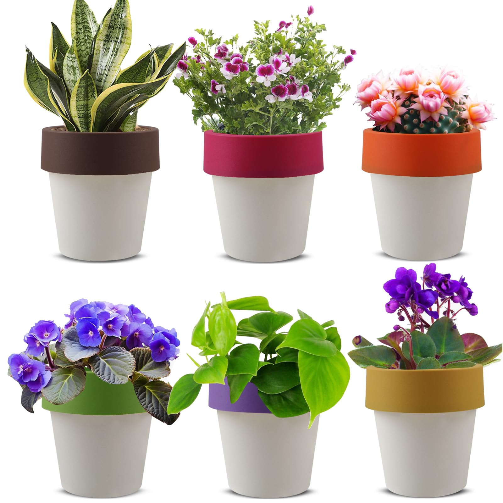 Plant Pots 5 inch Self Watering Planters,6 Pack Round Multi Color ...