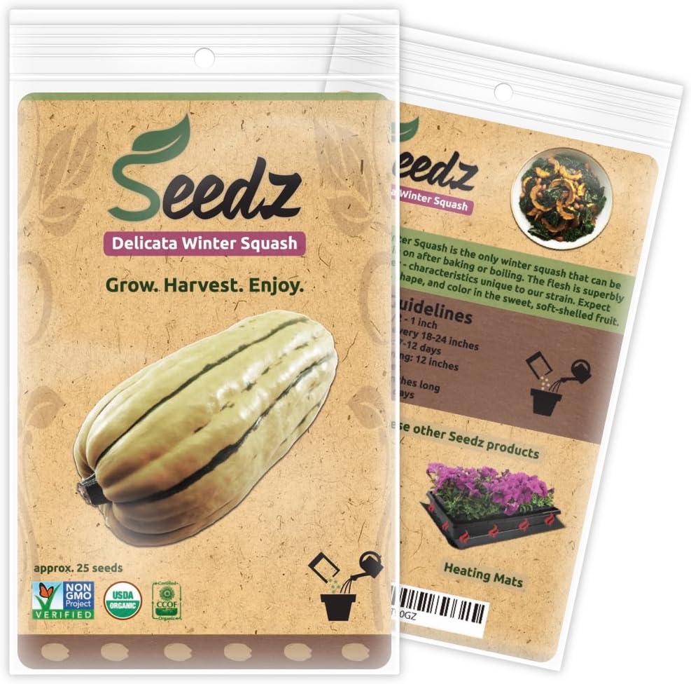 Amazon.com : Honeyboat Delicata Squash - 25 Seeds - Heirloom & Open ...