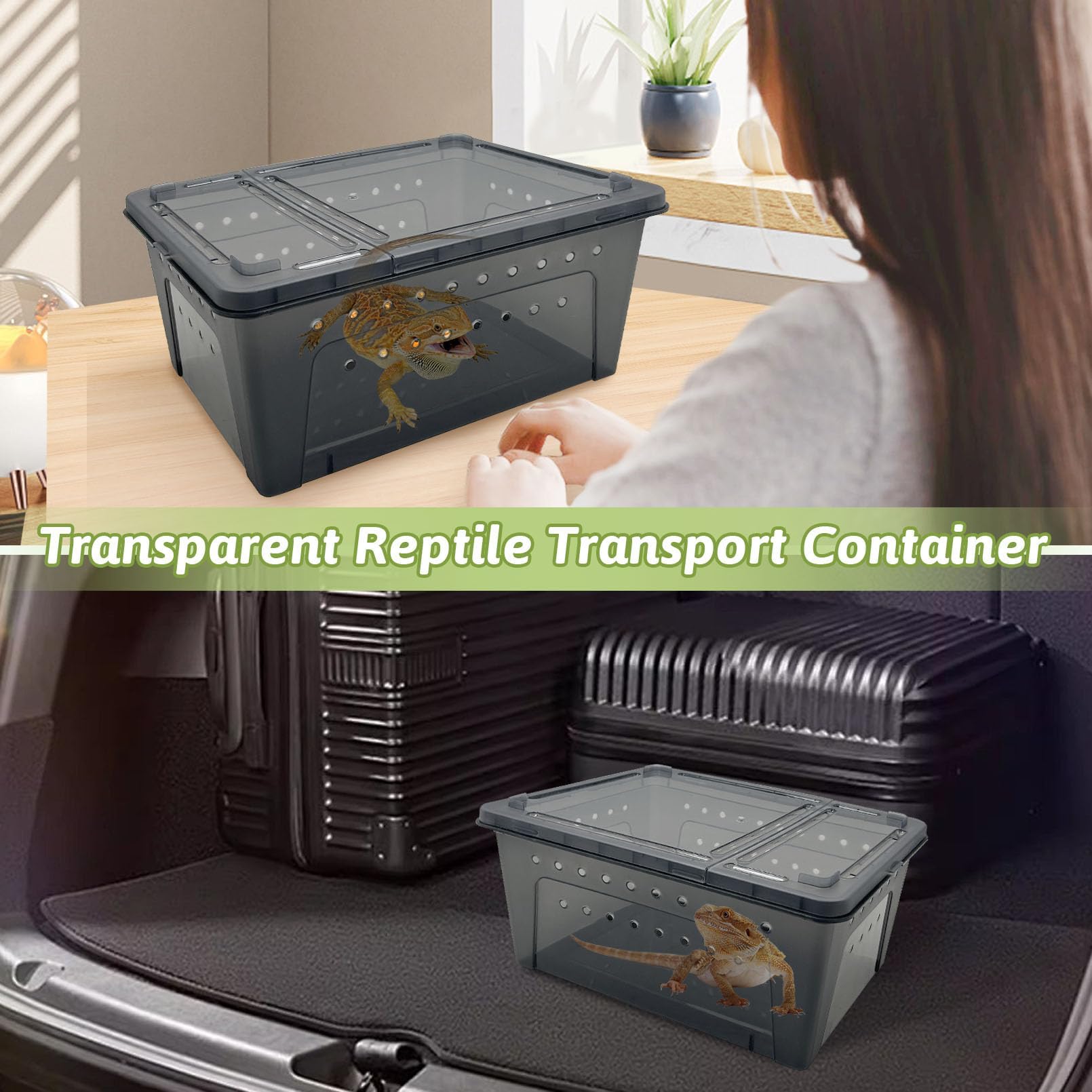 Snapklik.com : Apatal Reptile Feeding Box Kit 6 Pcs Snake Breeding ...