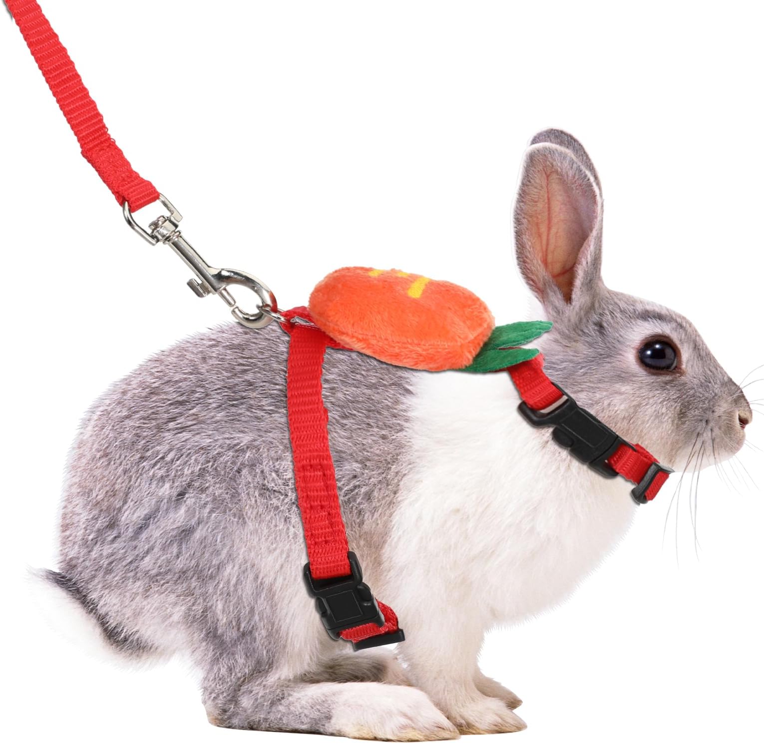 Amazon.com : Small Rabbit Harness and Leash Set, Adjustable Double ...