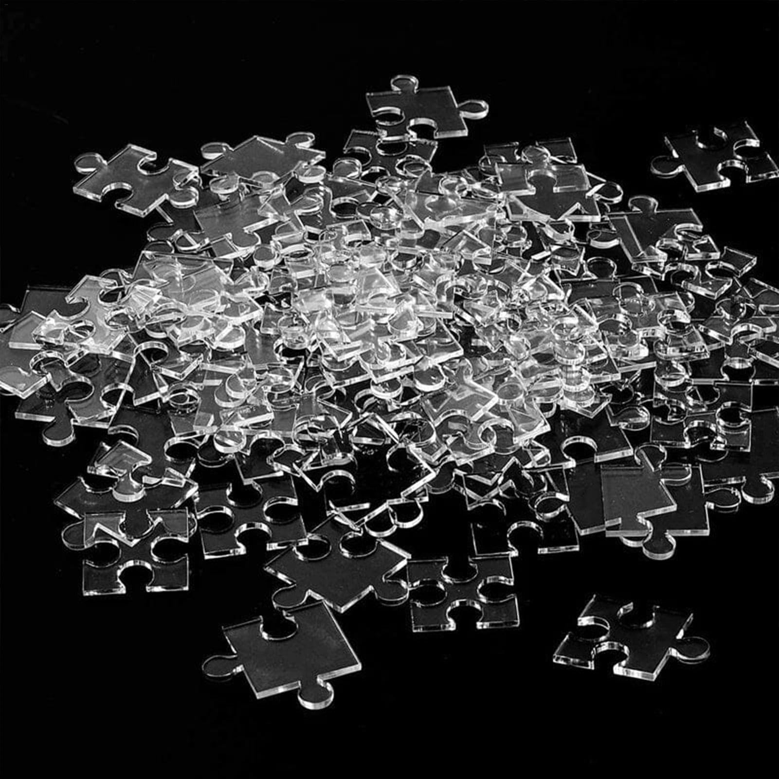Clear Plastic Jigsaw Puzzle