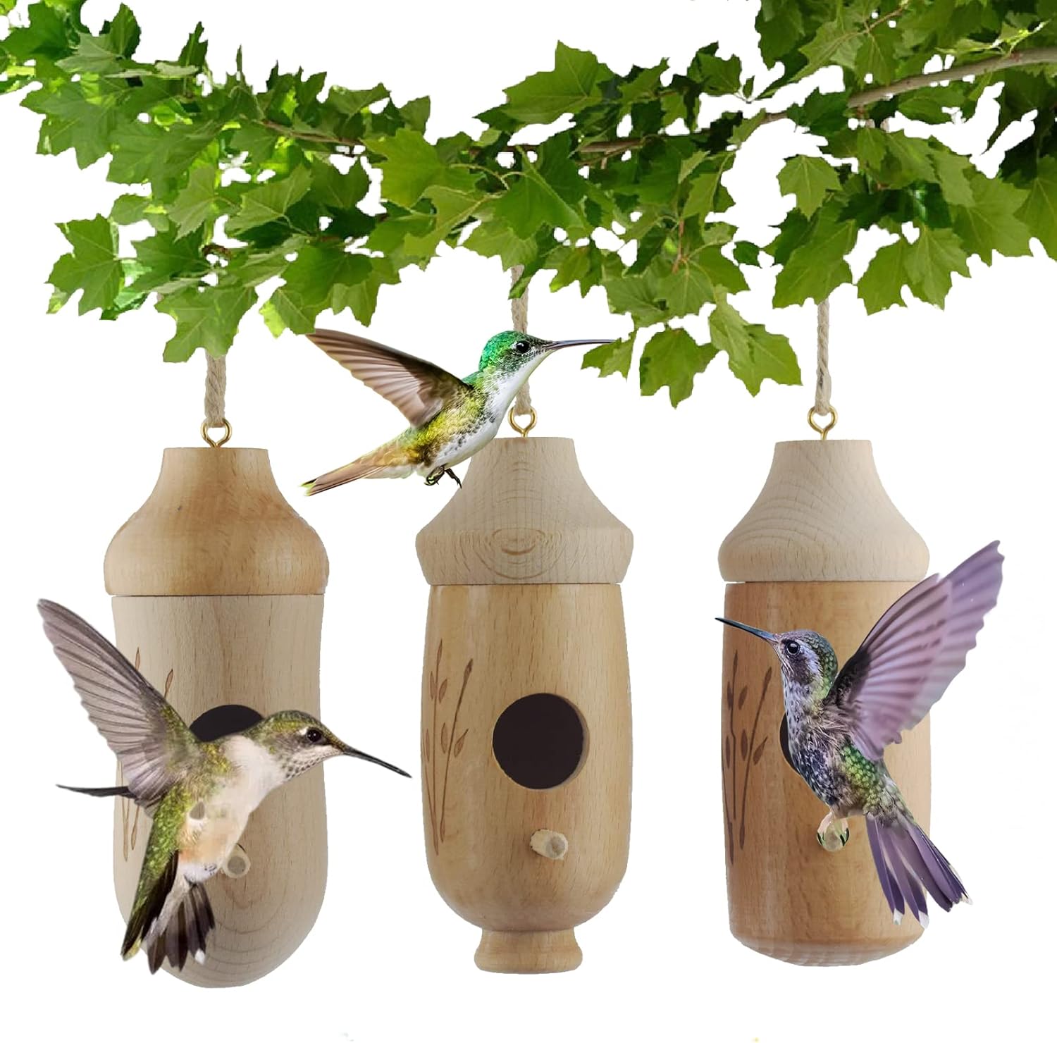 Amazon.com: Hummingbird House-Create a Hummingbird Haven with Our ...