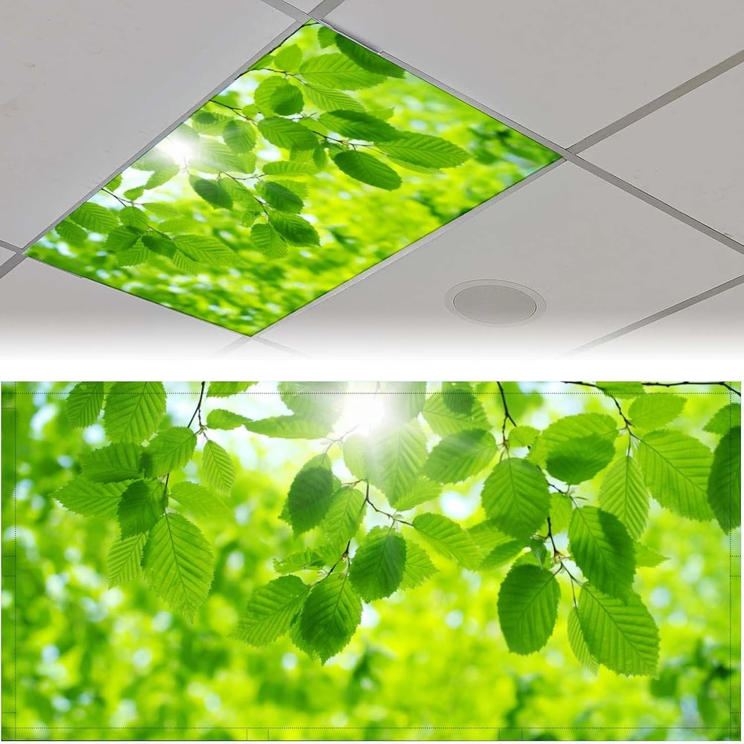 2 Pack Fluorescent Light Cover for Ceiling Light -Tender Leaves ...