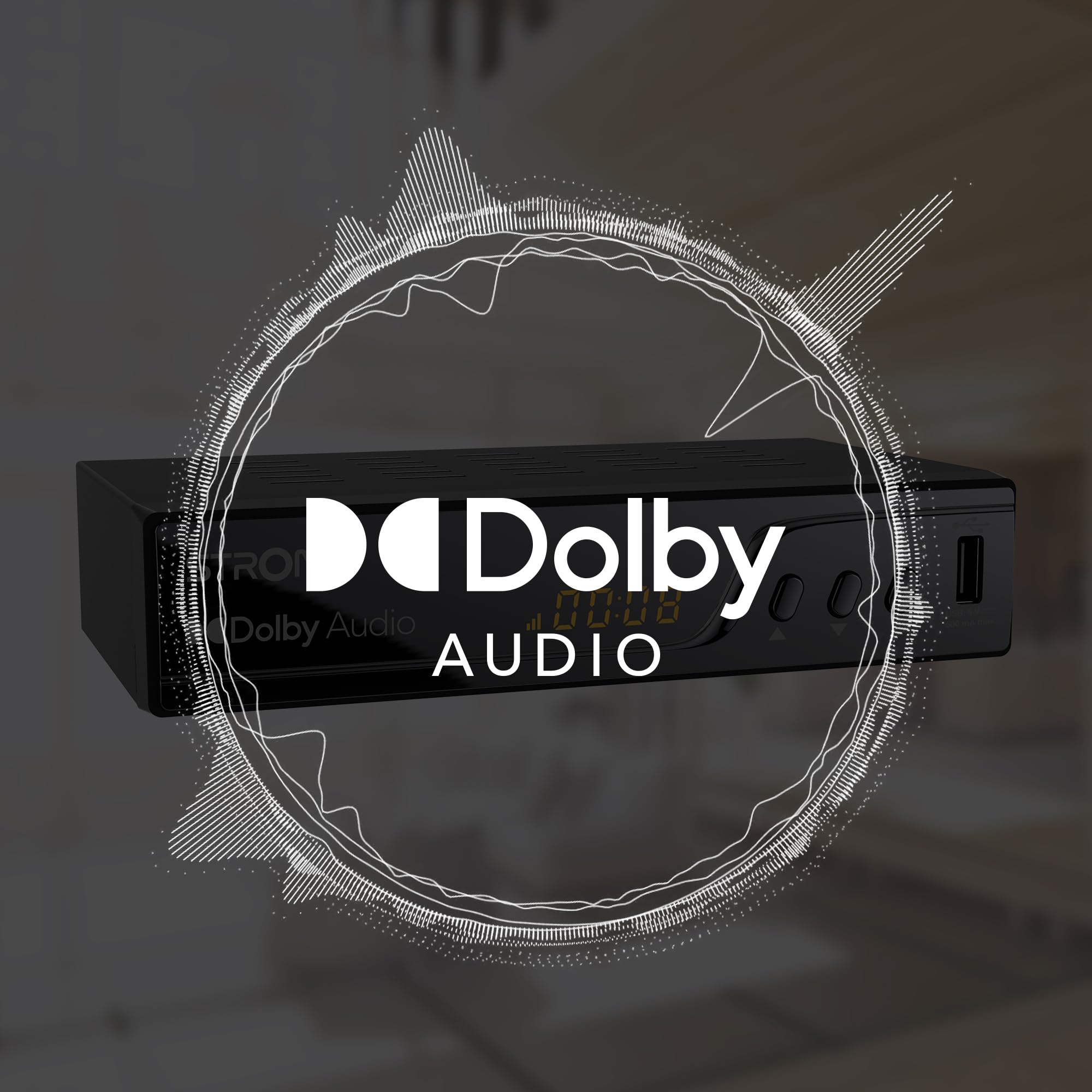 Stereo Logo RAUDIO.BIZ Erweitert Führungsteam Um Karna Brennecke Und