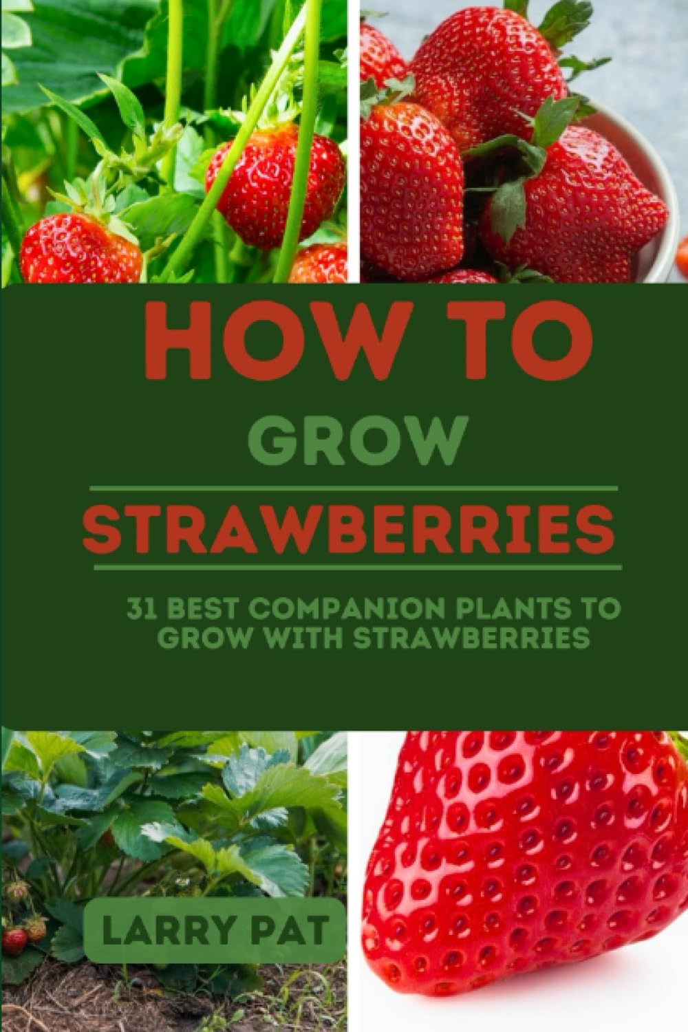 HOW TO GROW STRAWBERRIES: 31 best companion plants to grow with ...