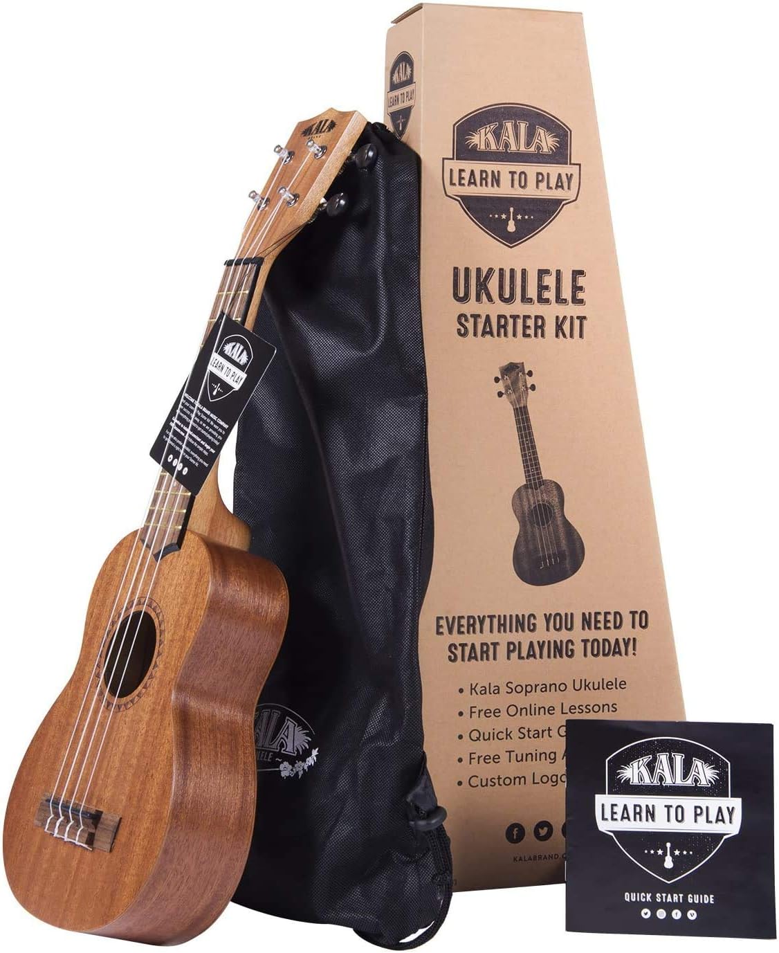 Kala KALA-LTP-S Learn To Play Ukulele Starter Kit : Amazon.in: Musical ...