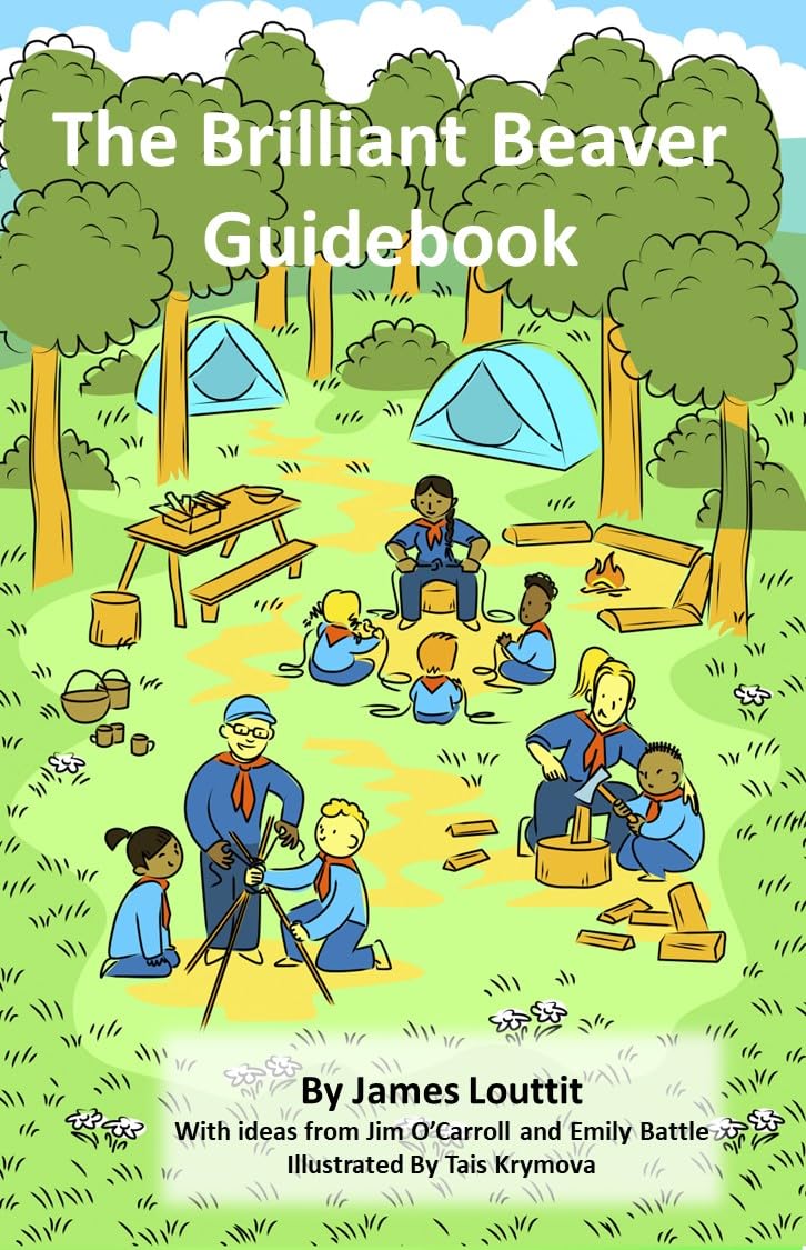 Amazon.com: The Brilliant Beaver Guidebook: Ideas and approaches to ...