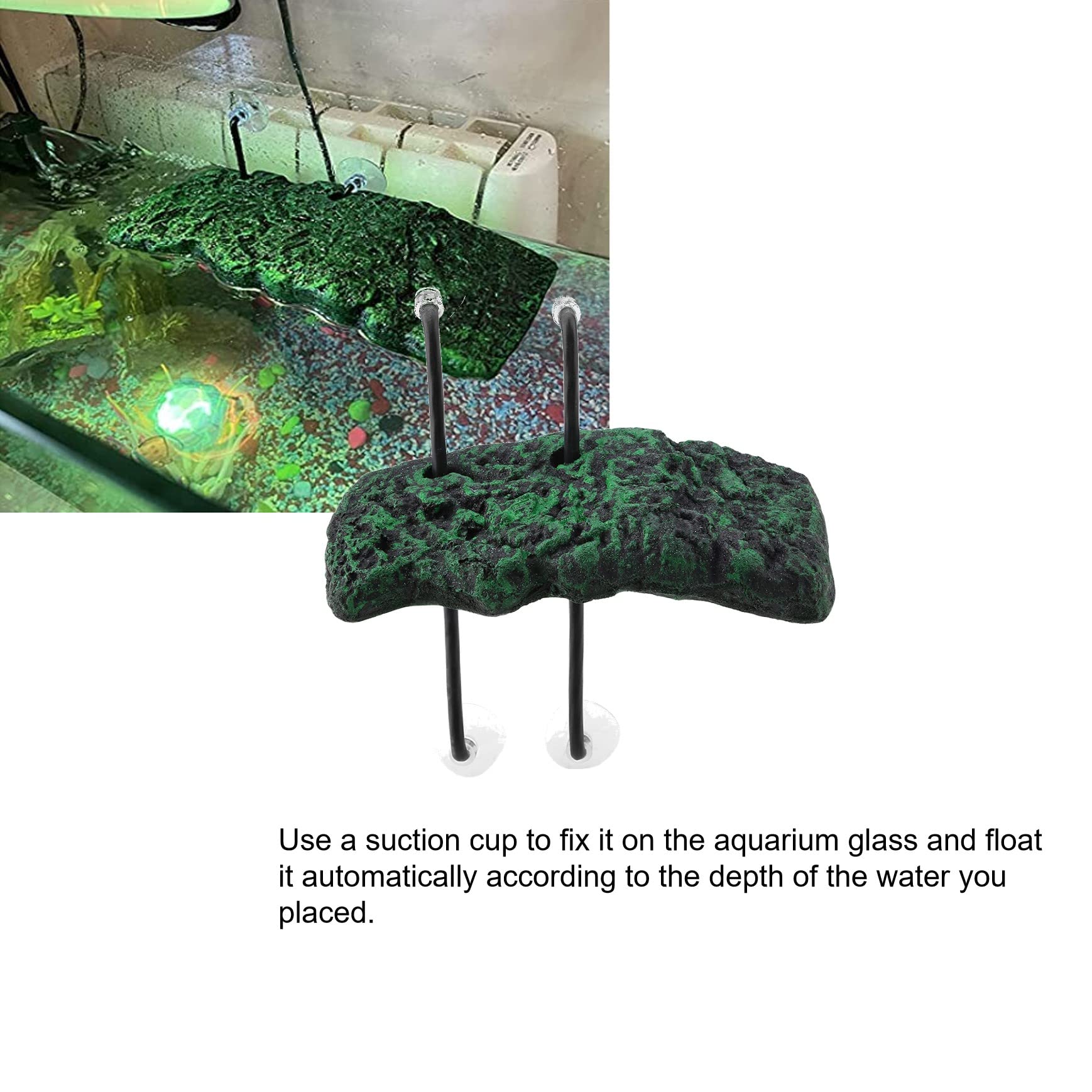 Snapklik.com : DAUERHAFT Turtle Basking Platform,Turtle Platform ...