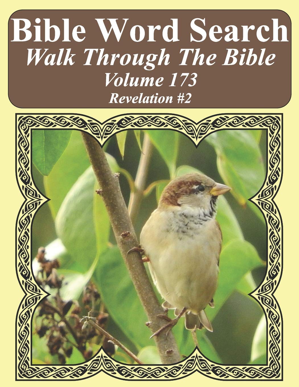 Bible Word Search Walk Through The Bible Volume 173: Revelation #2 ...