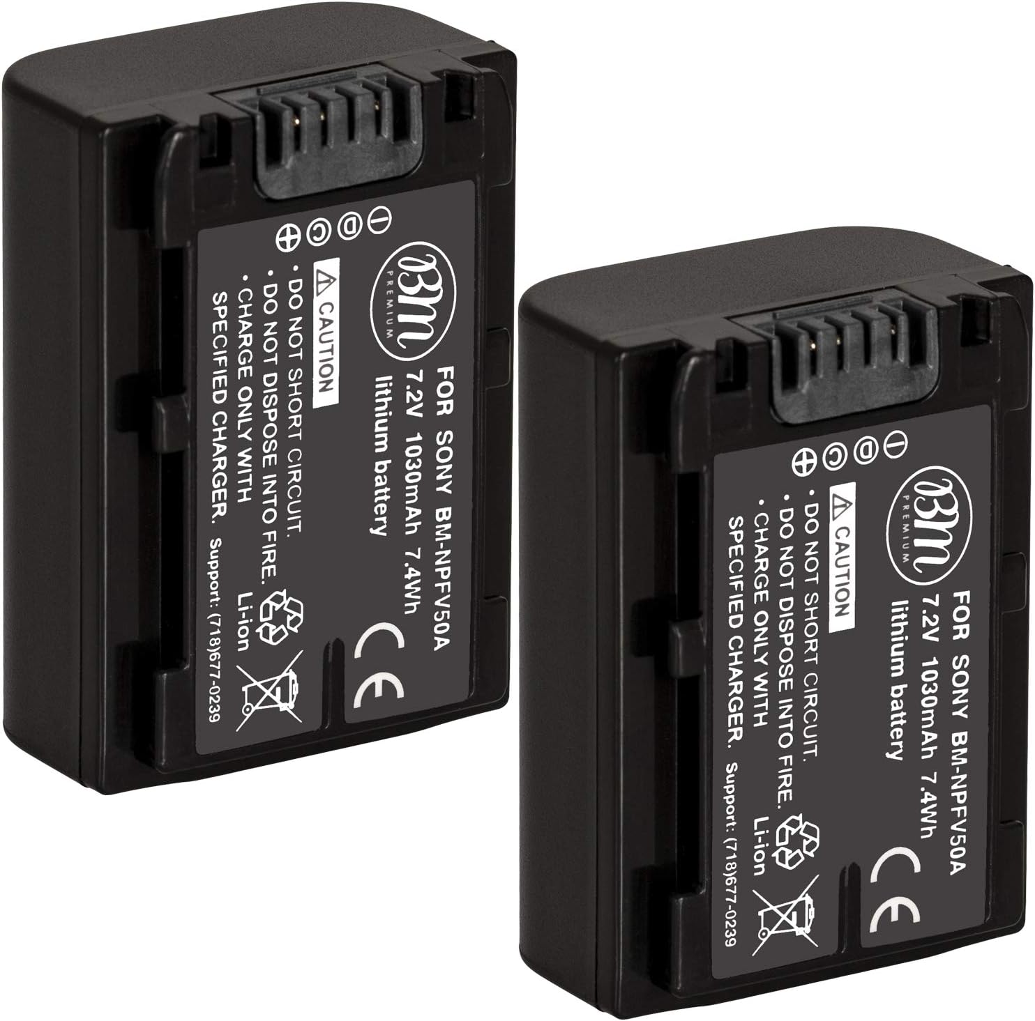 Amazon.com: BM Premium 2 NP-FV50A High Capacity Batteries for Sony FDR ...