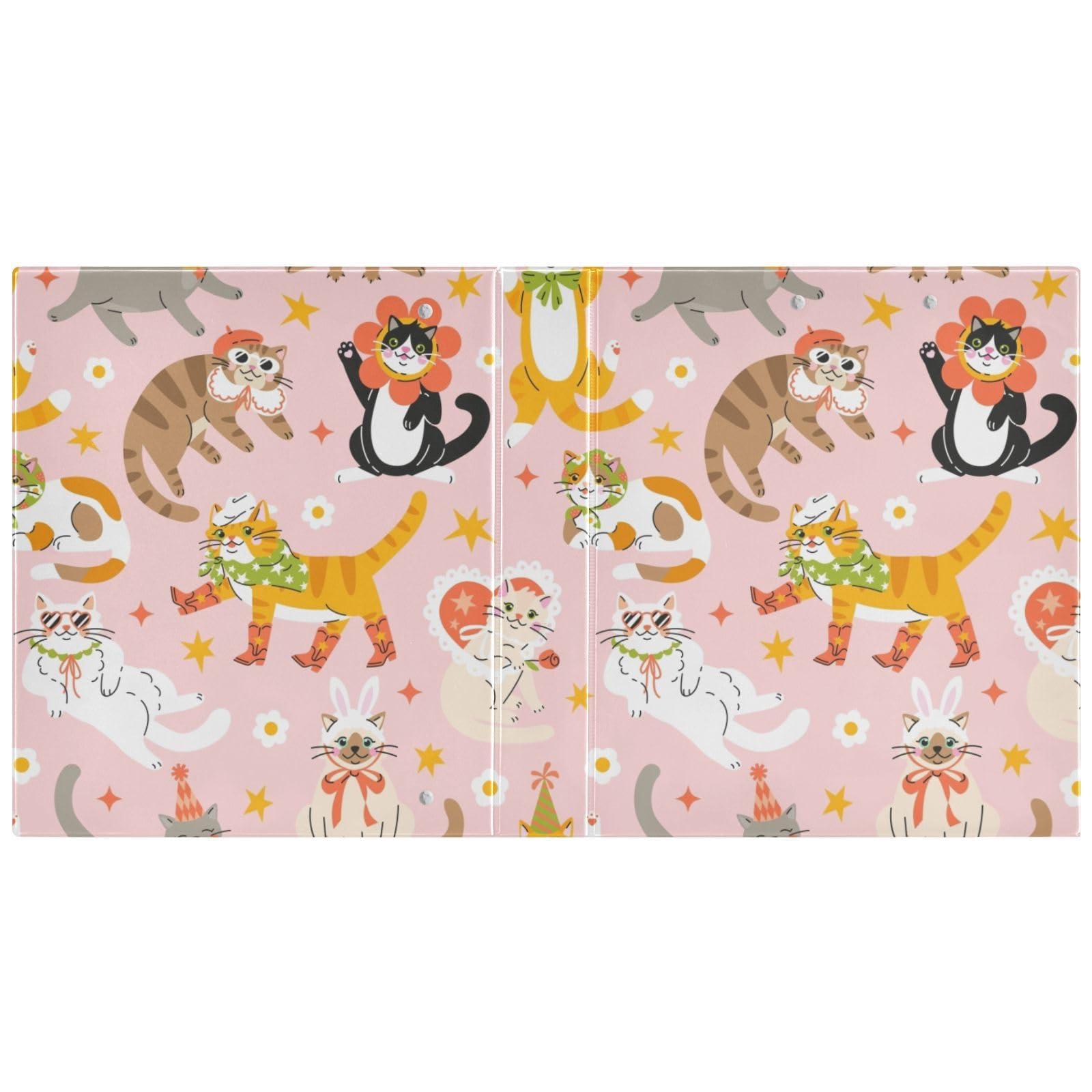 Fat Cartoon Binders Some Of My Pickups From The Last Few Days! A Ross