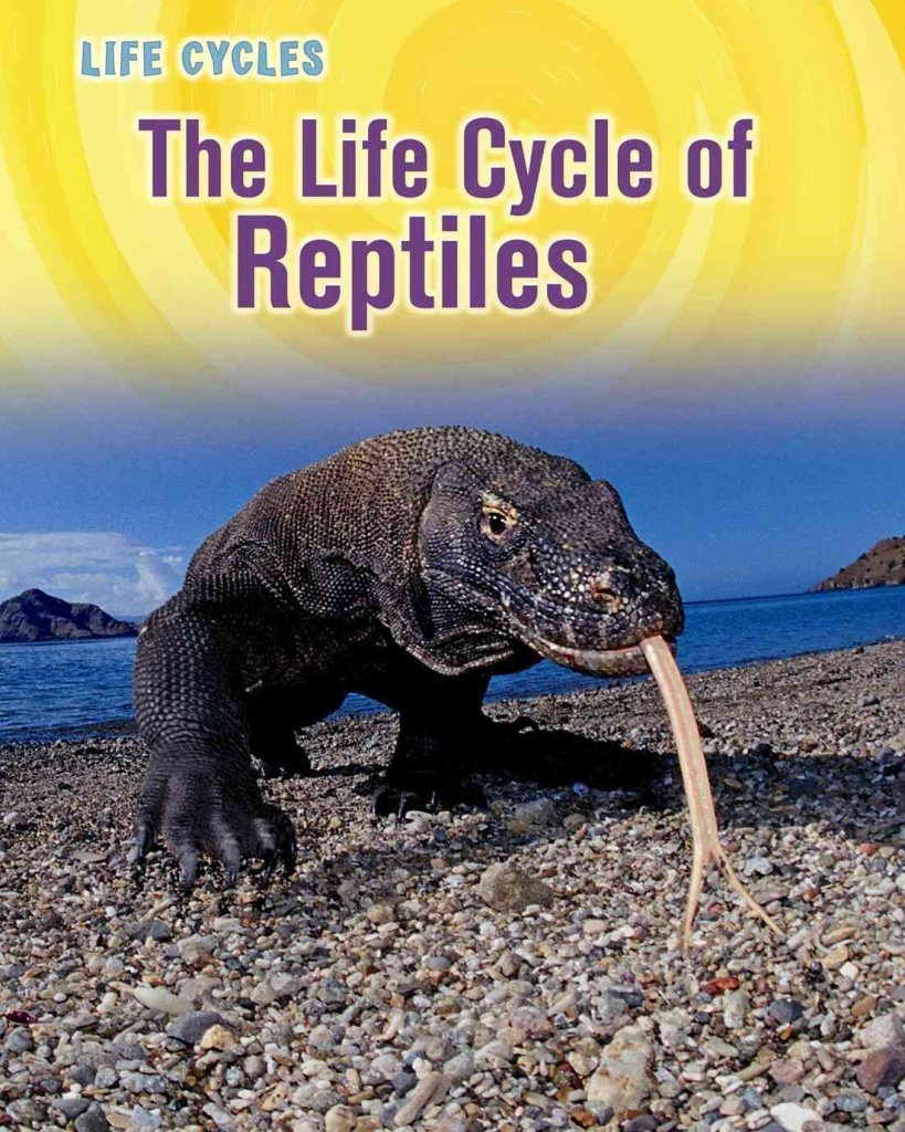 The Life Cycle of Fish (Heinemann Infosearch: Life Cycles: Level R ...