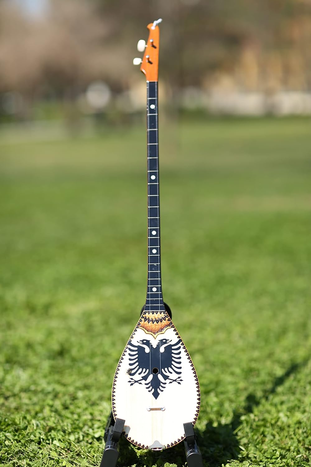 Amazon.com: Cifteli - Qifteli Cifteli Qifteli Çifteli Acoustic medium ...