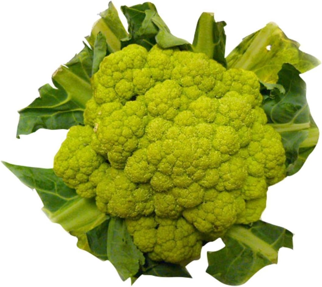 Amazon.com : Ukrainian Organic vegetables Cauliflower "Shannon" Cabbage ...