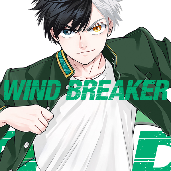 Amazon.com: WIND BREAKER Vol. 9 eBook : Nii, Satoru, Nii, Satoru ...