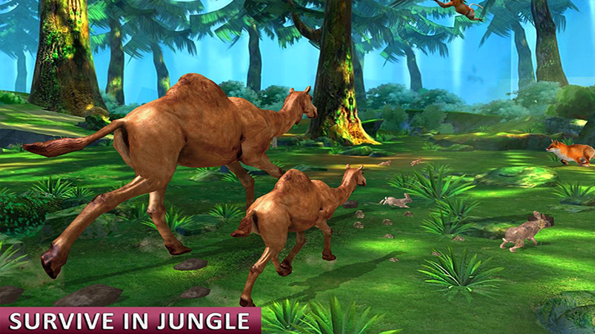 Camel Family Life Simulator - App on the Amazon Appstore