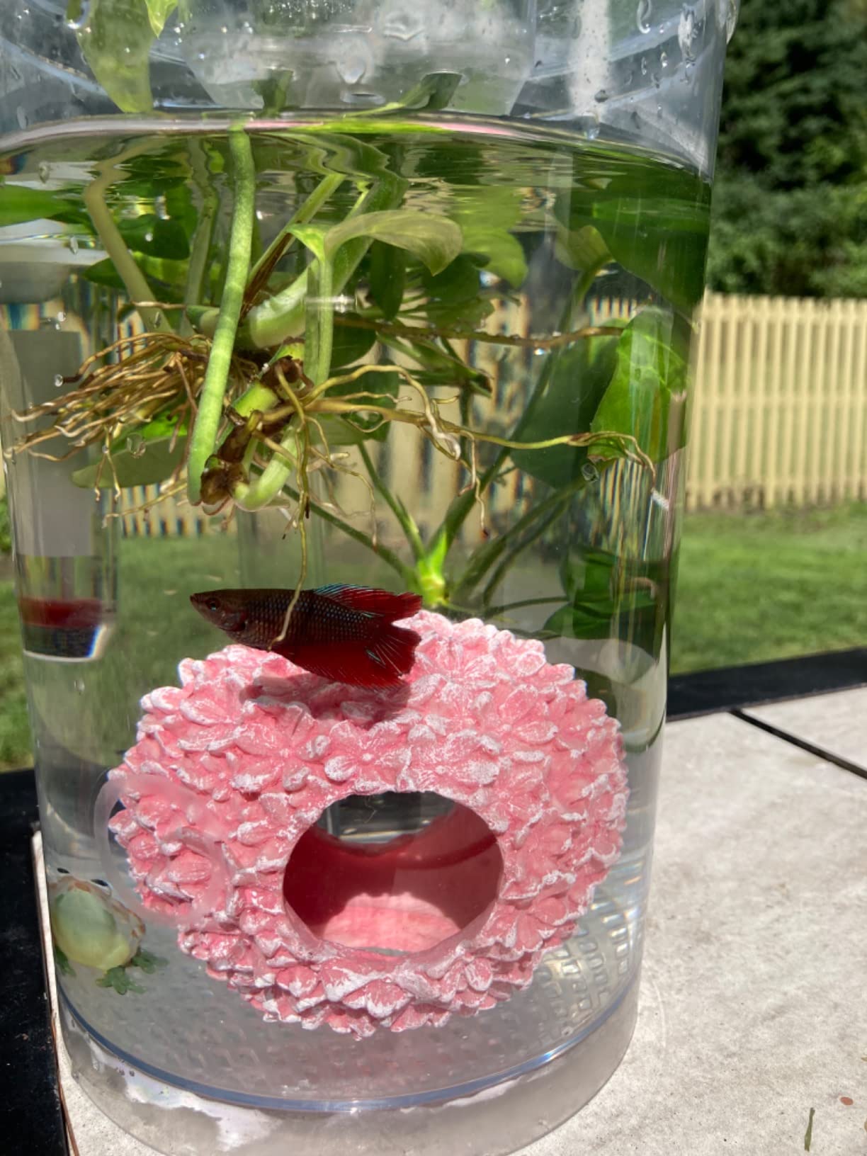 Do Small Fish Tanks Use A Lot Of Electricity at Arthur Popp blog