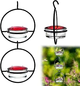 Amazon.com : Beautiful Circular Hanging Hummingbird Feeder, Hummingbird Feeders for Outdoors ...
