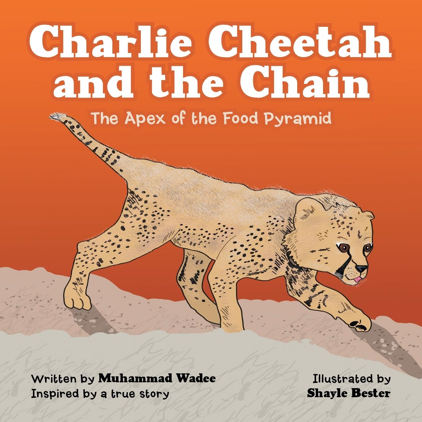 Charlie Cheetah and the Chain: The Apex of the Food Pyramid: Wadee ...