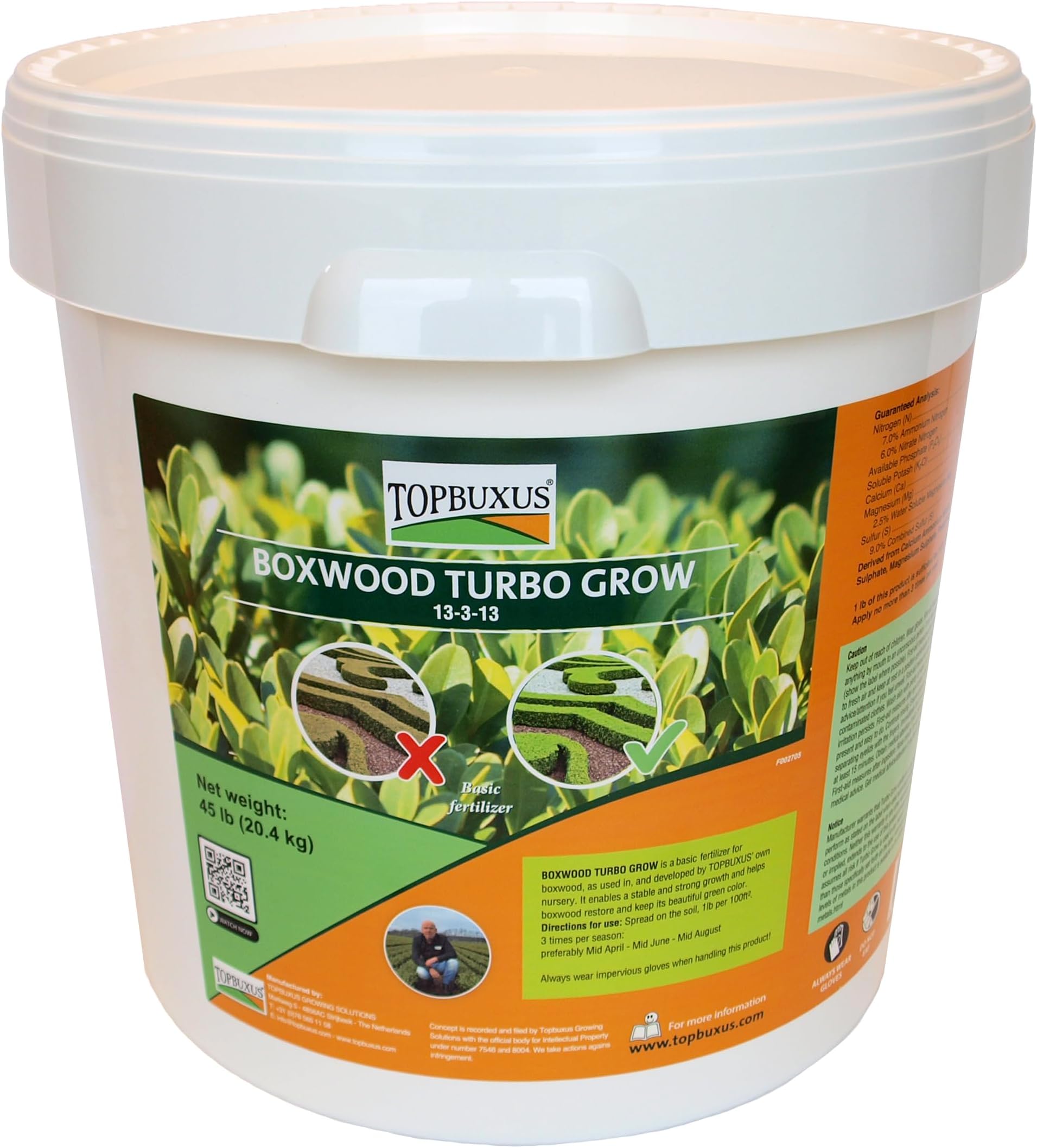 Amazon.com : TOPBUXUS Boxwood Turbo Grow - Professional Boxwood ...