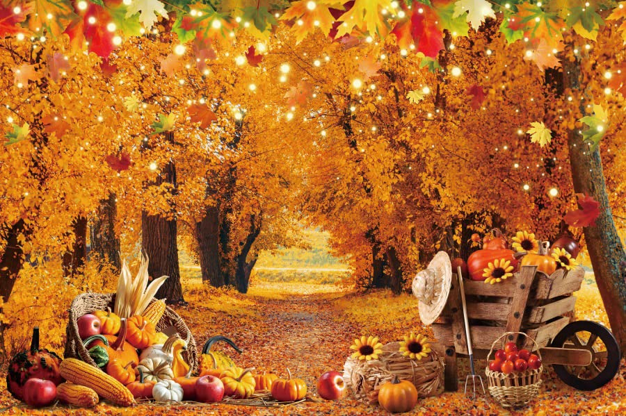 Herfstachtergronden Voor Computer