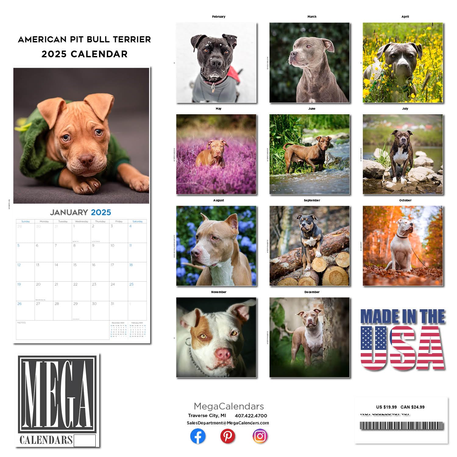 Snapklik.com : 2025 American Pitbull Terrier Calendar - Dog Breed Wall ...