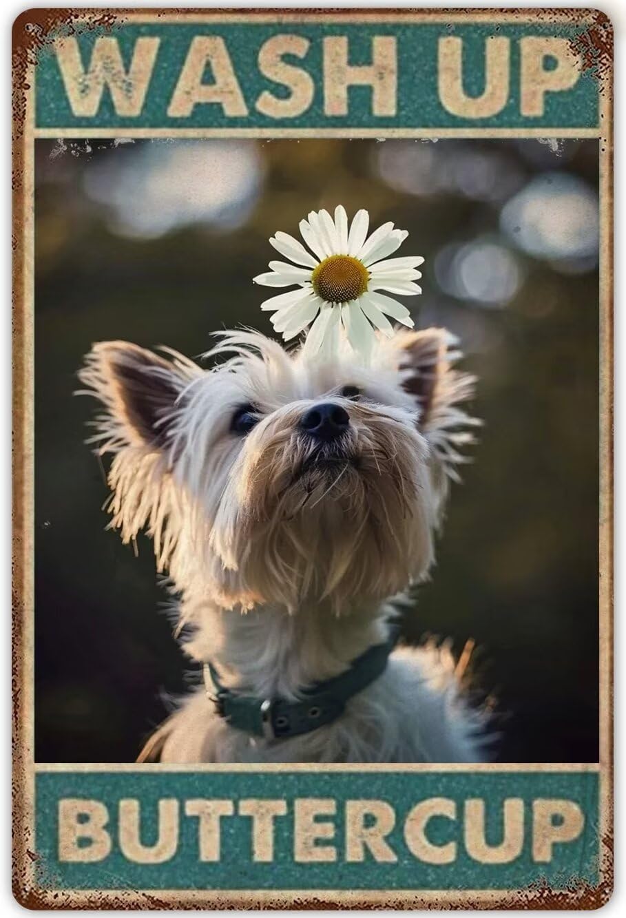 Amazon.com: Westie Bathroom Signs Metal Sign Wash Up Buttercup Bathroom ...