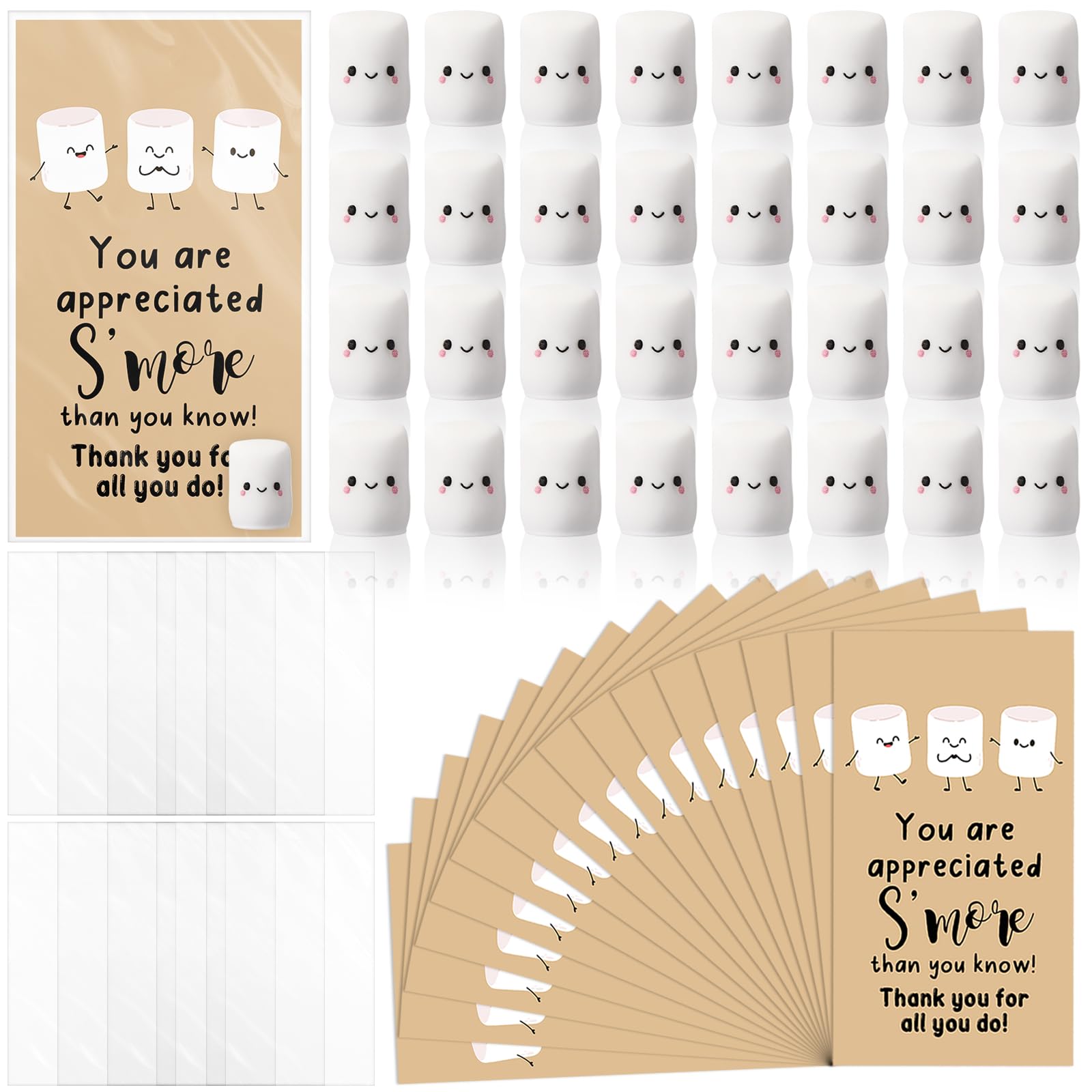 Amazon.com: CroBlissful Inspirational Employee Appreciation Gift Bulk ...