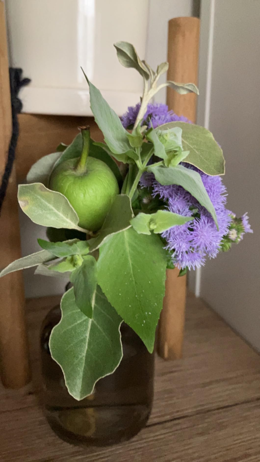 放送禁止。「あさ8」で知るニュースの真相 (Hanada新書 001) | 百田尚樹, 有本香 |本 | 通販 | Amazon