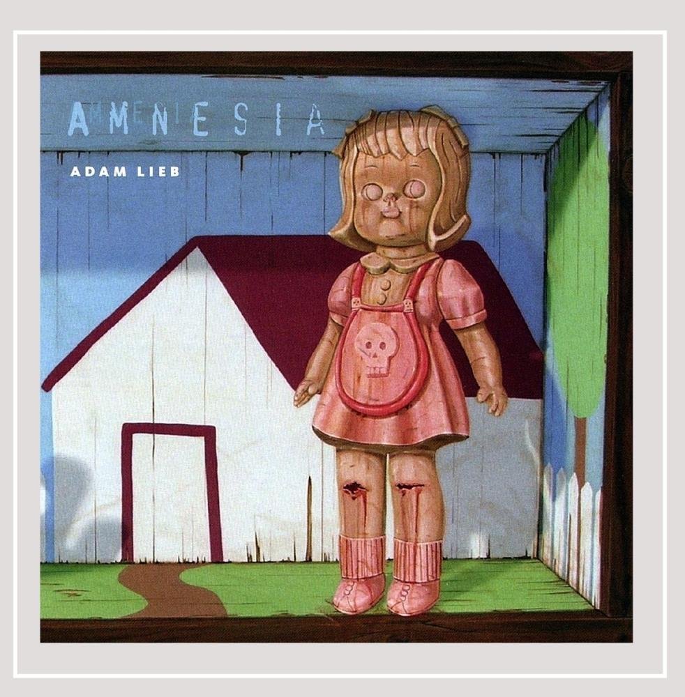 Amazon.com: Amnesia: CDs & Vinyl