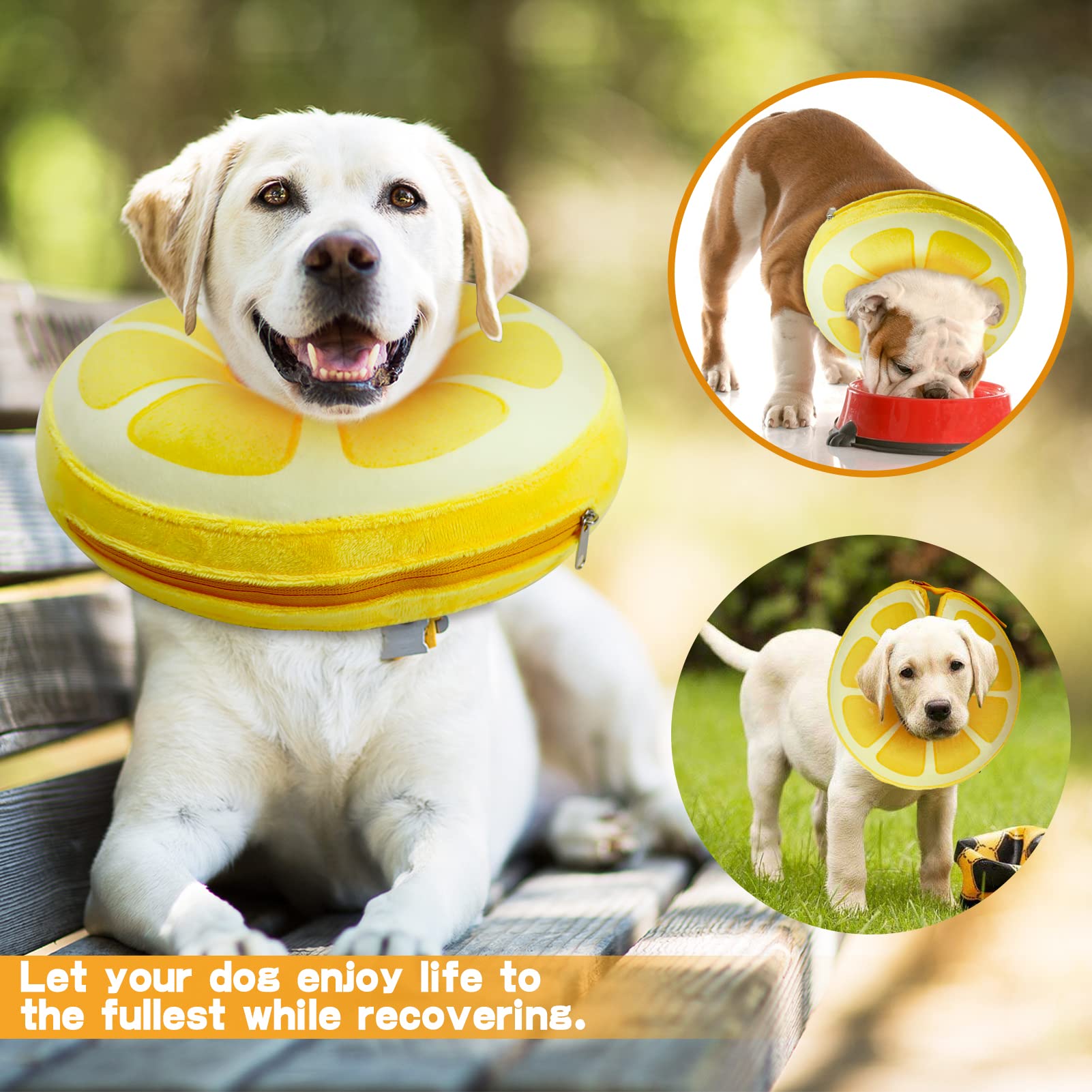 Cosequin For Dogs Inflatable Dog Recovery Cone Collar - Soft Lemon ...