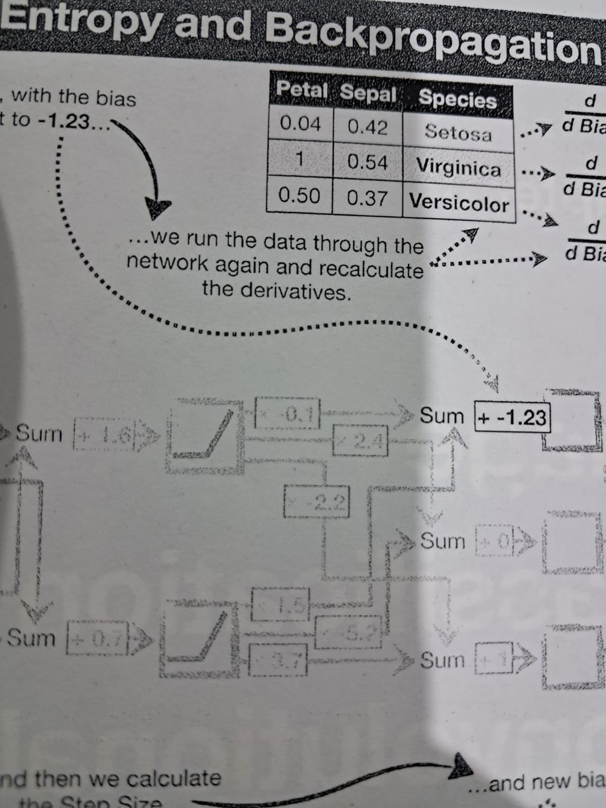 Buy The StatQuest Illustrated Guide to Neural Networks and AI, with hands-on examples in PyTorch ...