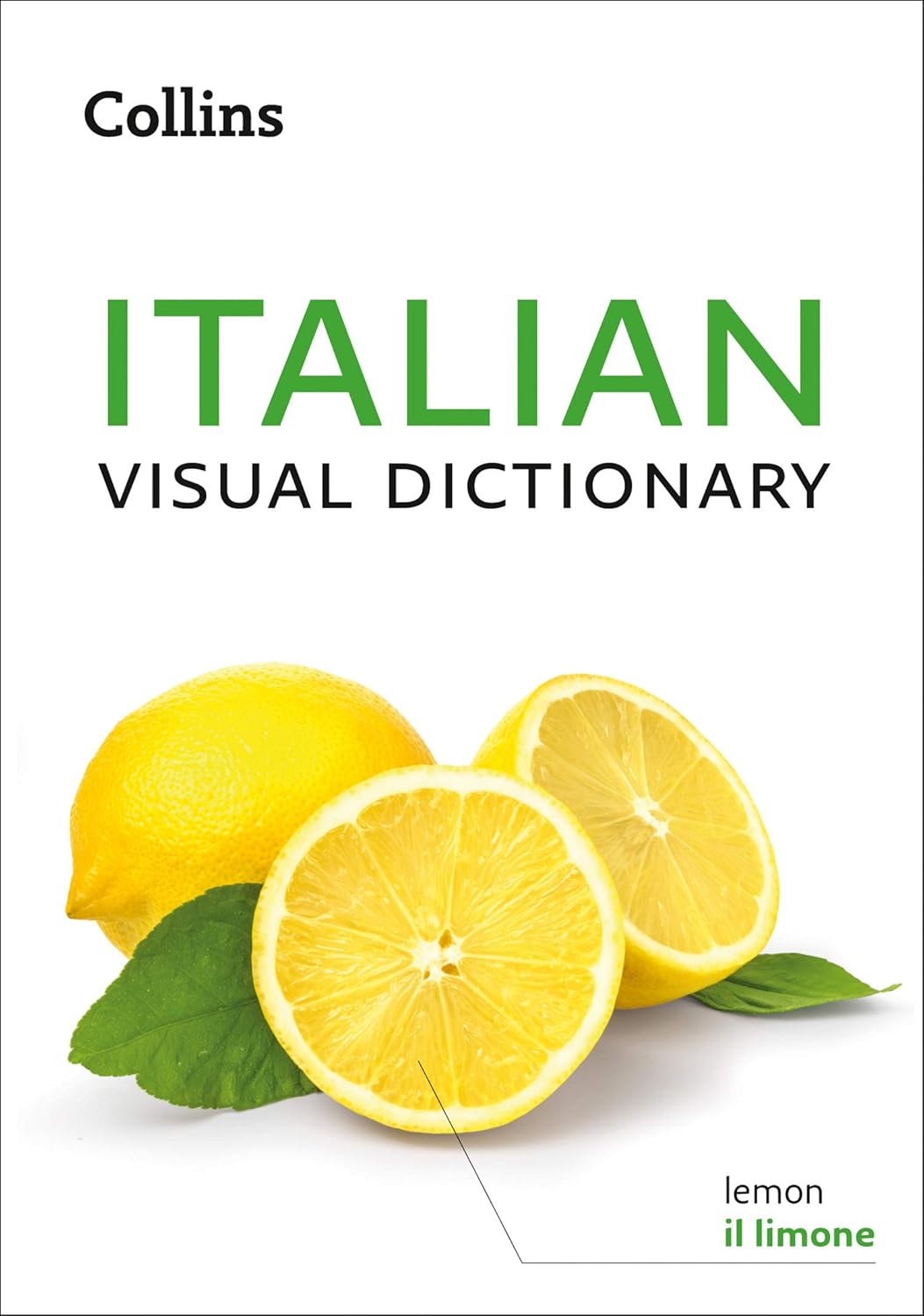 Italian Visual Dictionary: A photo guide to everyday words and phrases ...