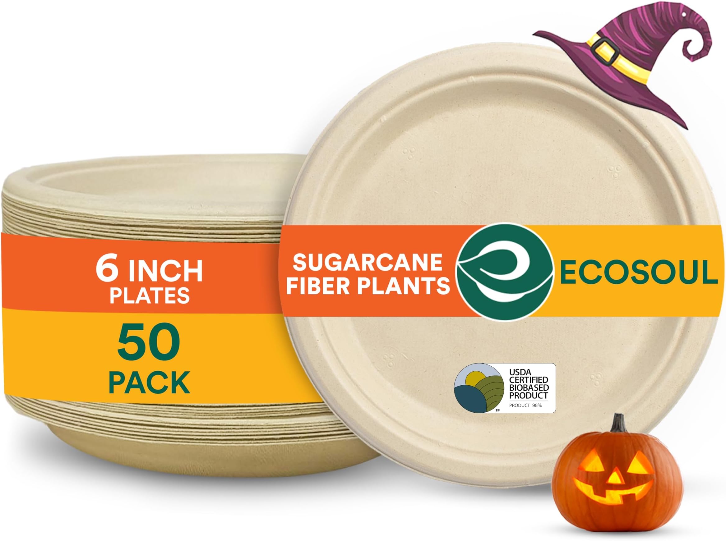 CHUK Disposable Meal Plate (4 Compartments) for Parties, Eco Friendly ...
