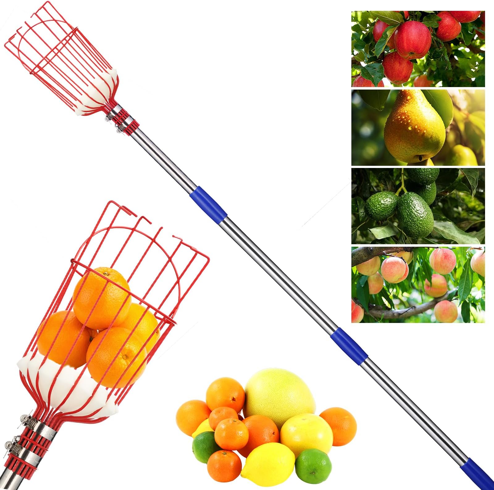 Amazon.com : Fruit Picker, 8FT Adjustable Long Handle Fruit Picker Pole ...
