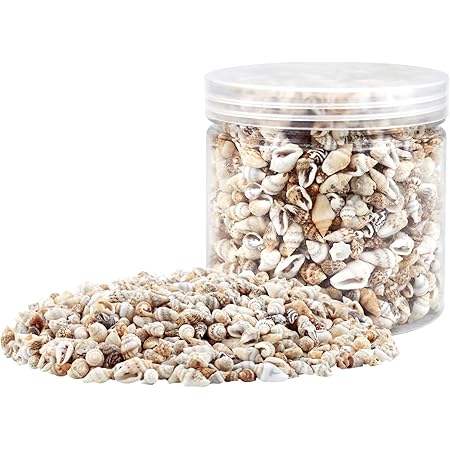 Amazon.com: gopiter 1200 PCS Tiny Sea Shells Small Natural Starfish ...