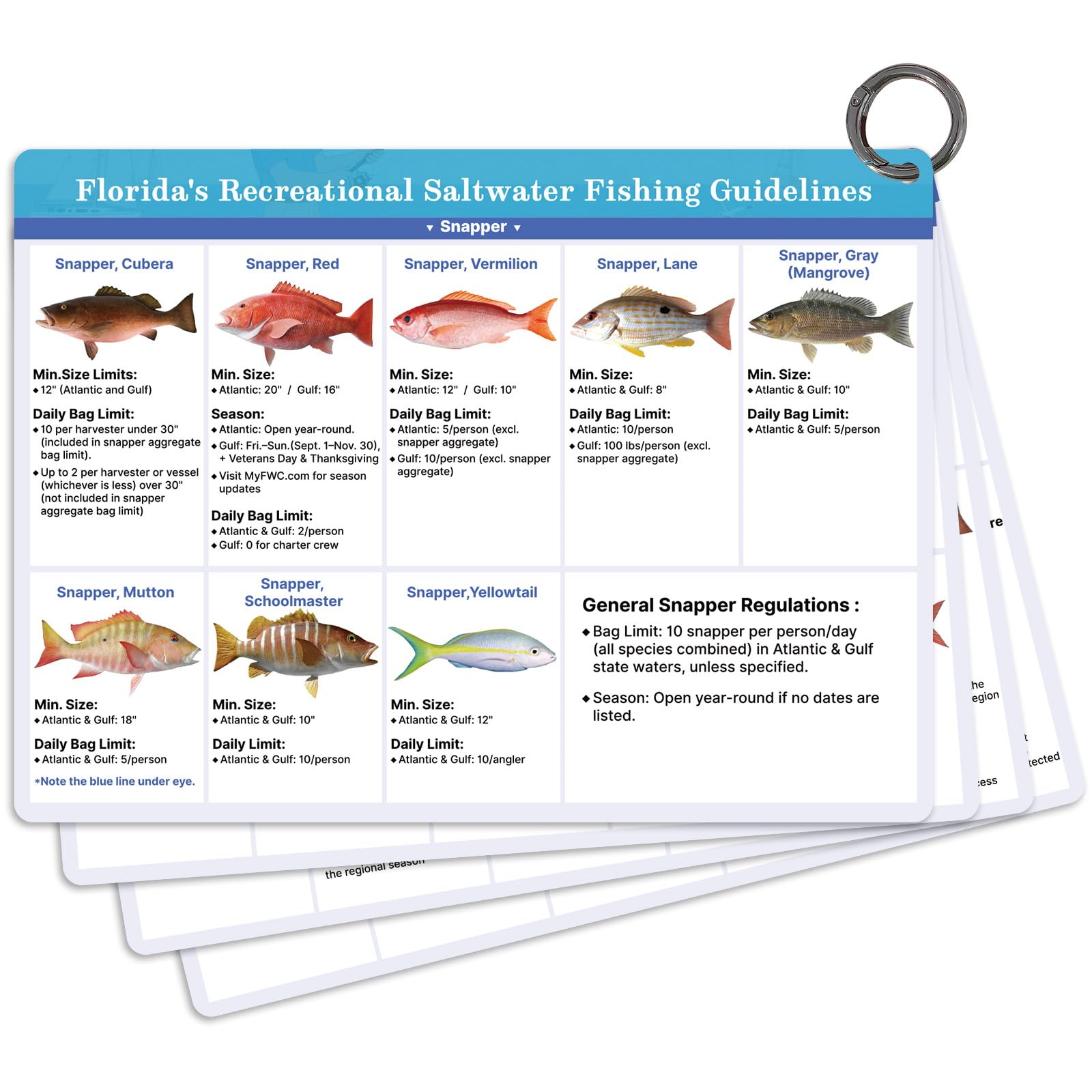 Snapklik.com : OCQOTAT Florida Saltwater Fish& Shark Identification ...