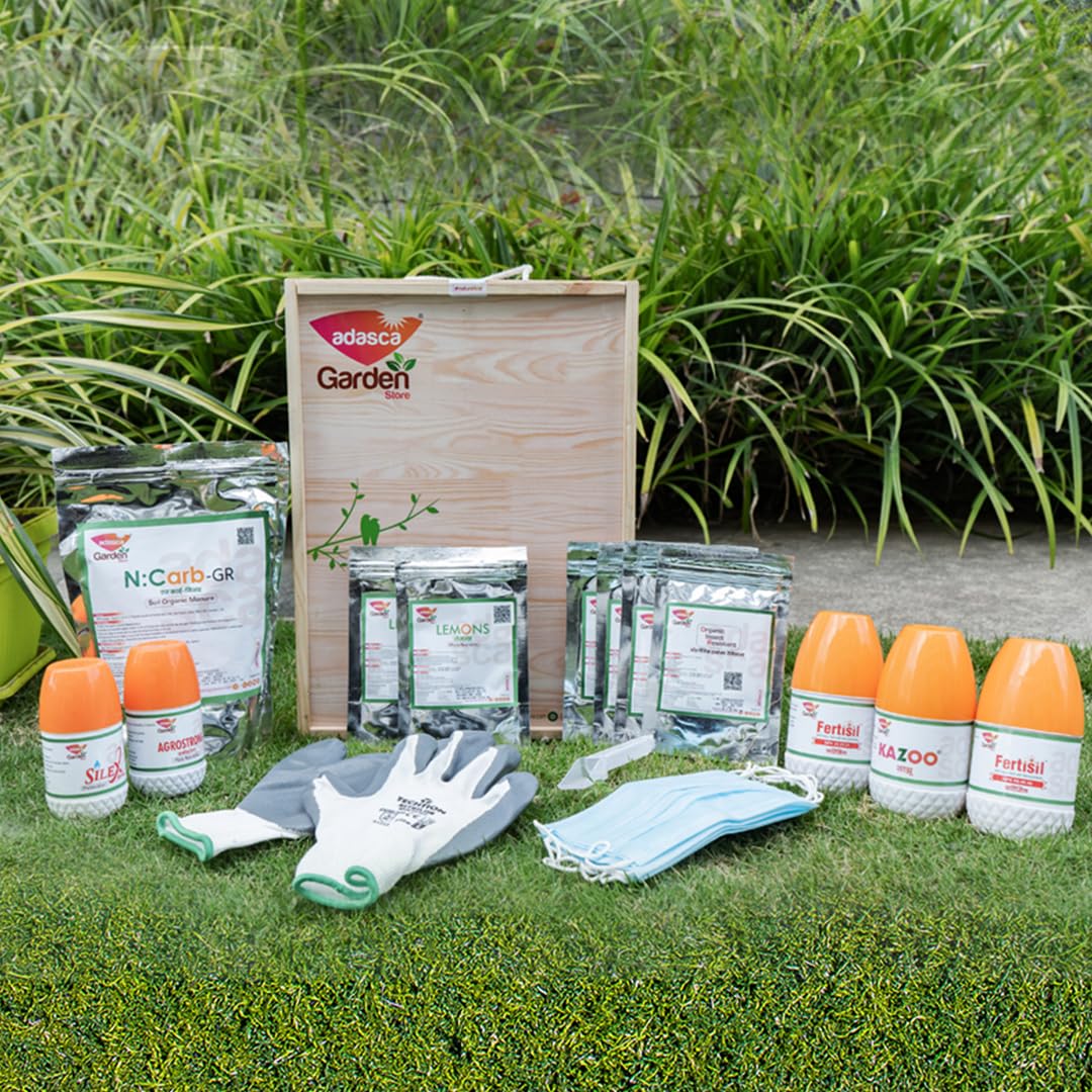 Adasca Garden Combo Pack For All Type of plant Organic Fertilizers For ...