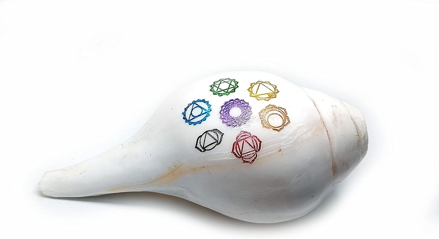 Natural Original Lakshmi Sacred Shankh with Reiki Chakra Symbols ...