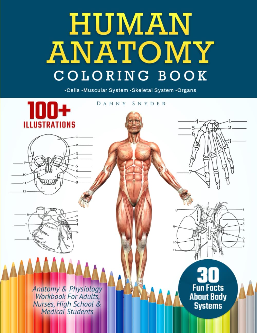 anatomy and physiology coloring book for ipad