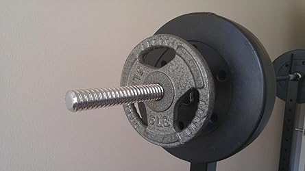 Sunny Health & Fitness 60 Inch Threaded Chrome Barbell Bar, 1 Inch ...