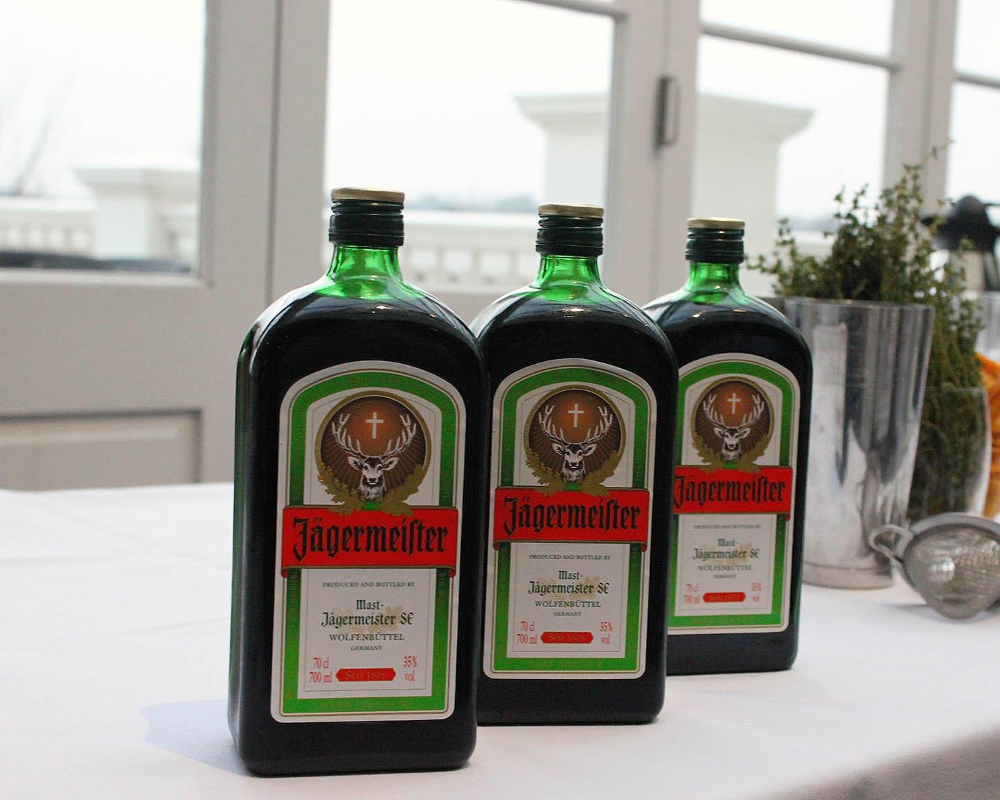 Amazon.com: Jagermeister Poster Wall Decor 16x20 Inches: Posters & Prints
